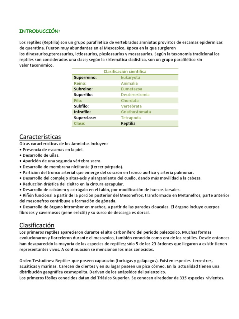 Reptiles Finallll | PDF | Reptil | Lagartija