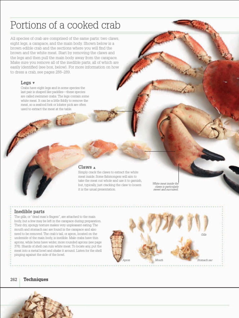 Portions Cooked Crab | PDF | Crab | Meat