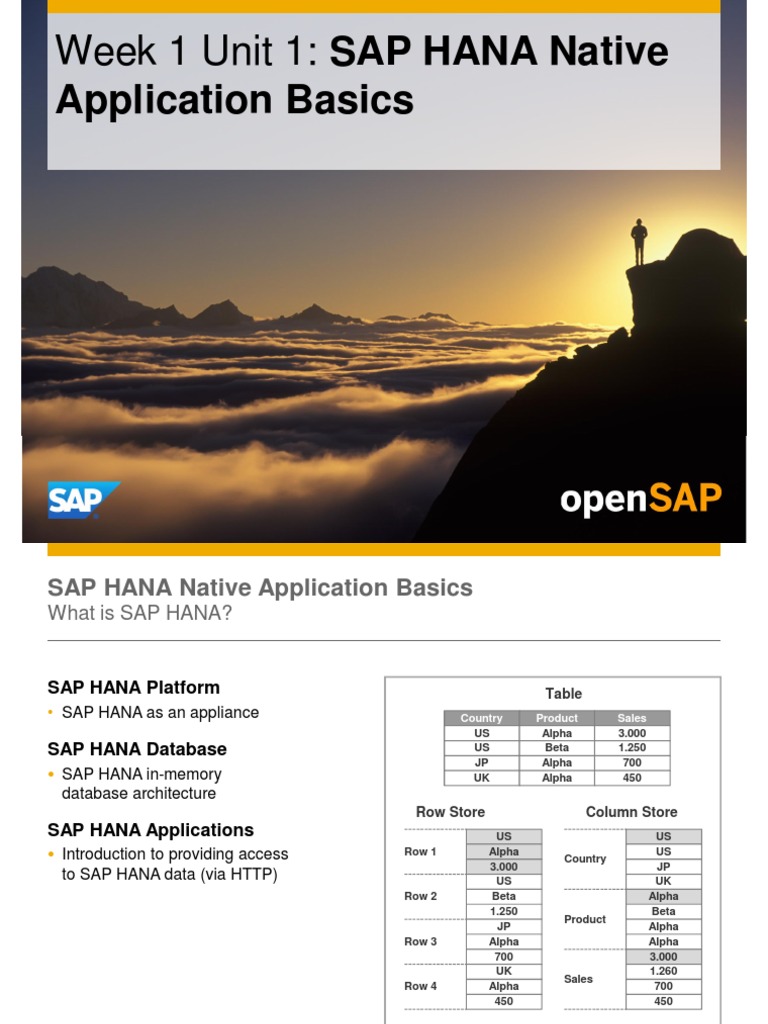 OpenSAP HANA1 Week 01 Developing Applications For SAP HANA Presentation ...