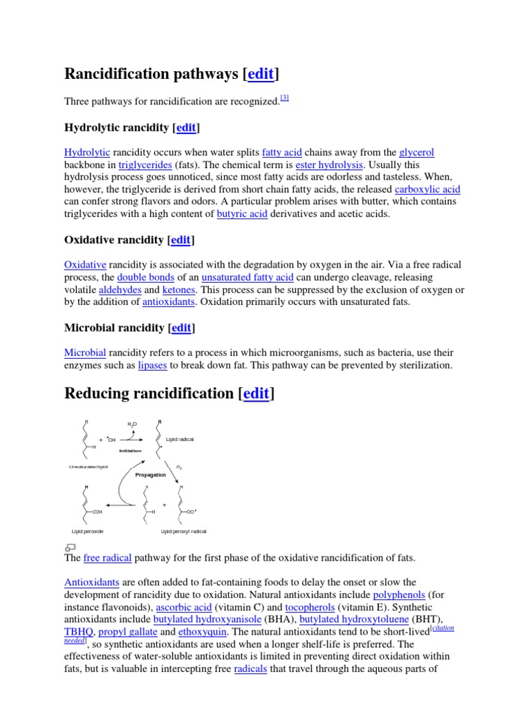 Rancidity | PDF | Chemical Substances | Chemistry