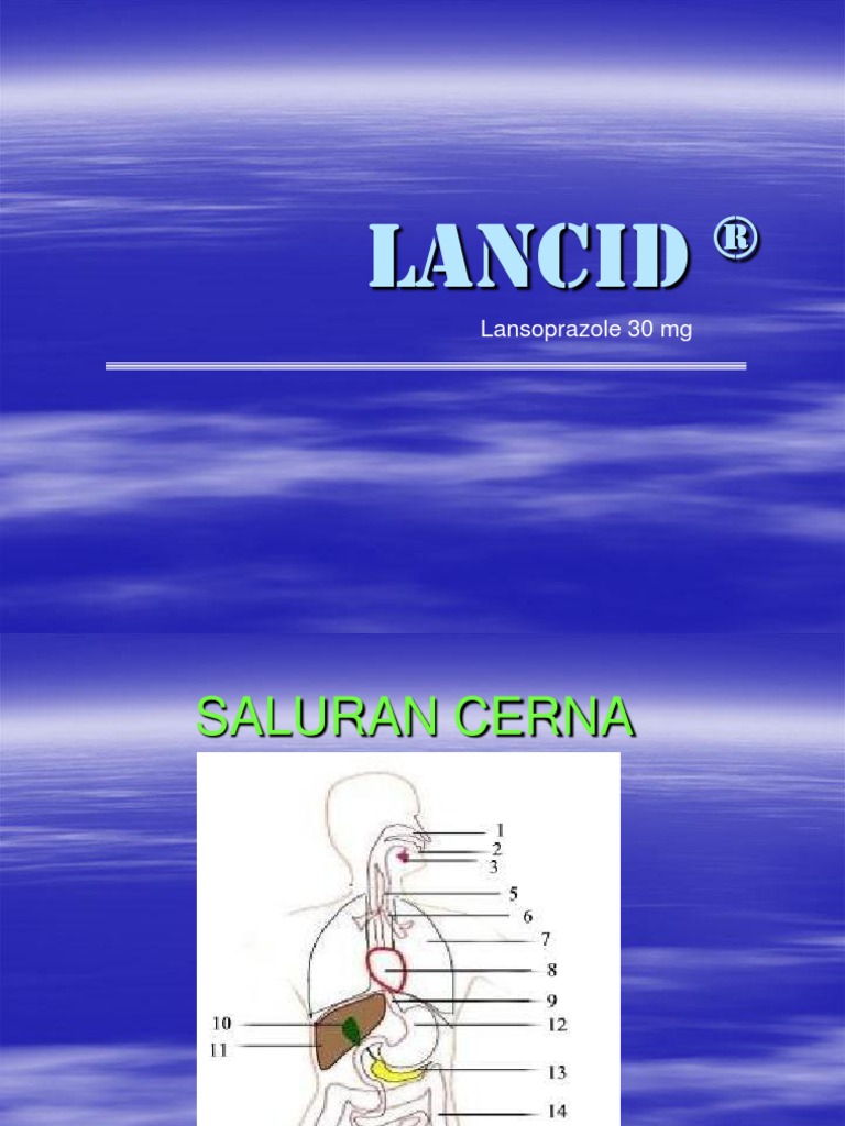 LANCID - Presentasi | PDF