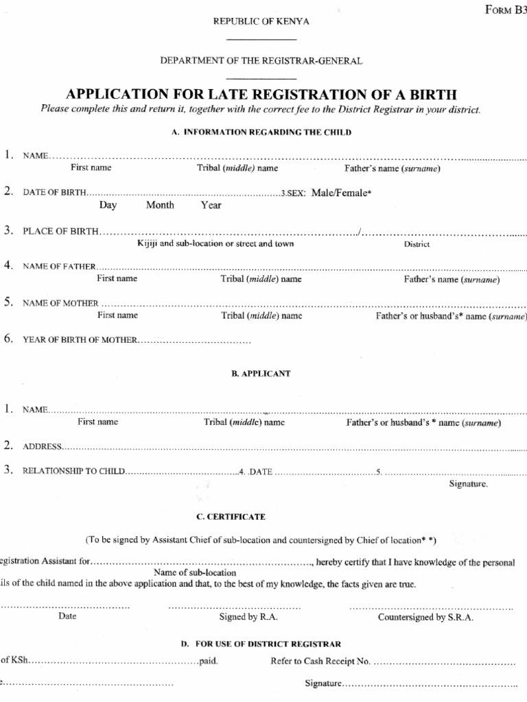 Late Birth Registration Application Form - b3 Form | PDF