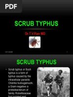 Scabies | PDF | Clinical Medicine | Dermatology