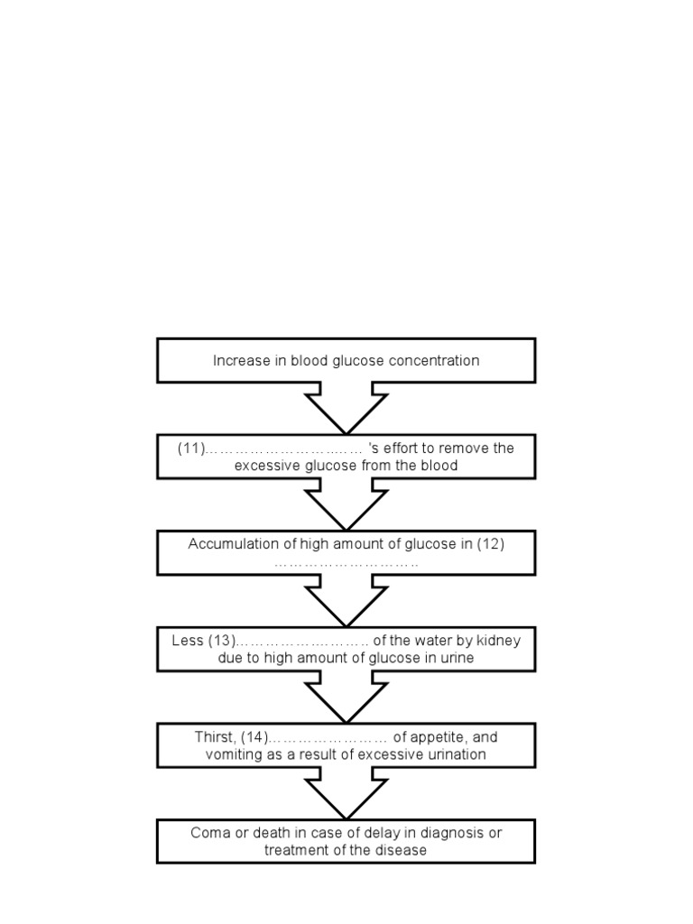 Diabetes Flowchart | PDF | Diabetes | Endocrinology