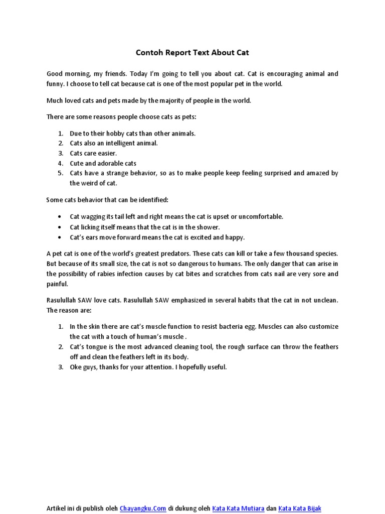 Report on Cats as Pets | PDF | Home & Garden | Wellness