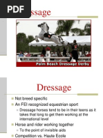 Pony Club C Test Guidelines | PDF | Horse Gait | Horses