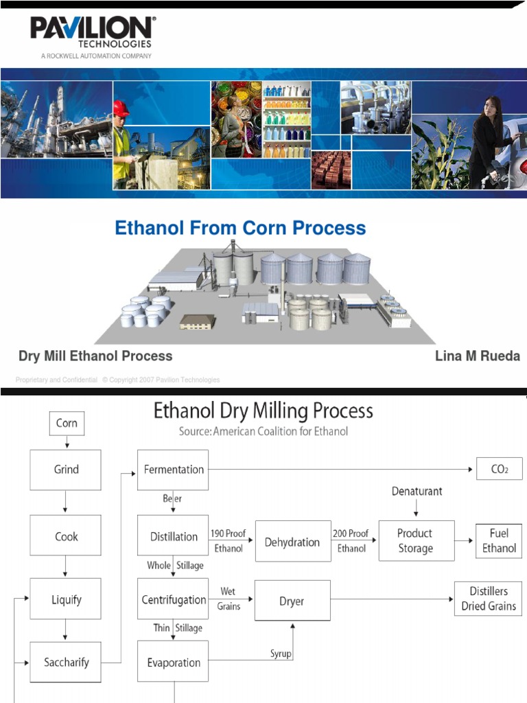 Ethanol Corn | PDF | Ethanol | Starch