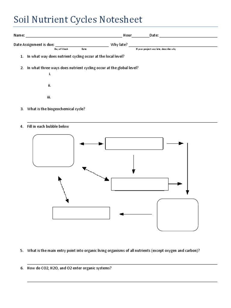 Soil Nutrient Cycles Overview | PDF | Science & Mathematics