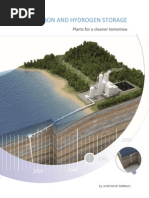 BASF Oase Gas-Treatment | Natural Gas | Carbon Capture And Storage