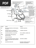 ICU One Pager ECMO Fundamentals | PDF | Circulatory System ...