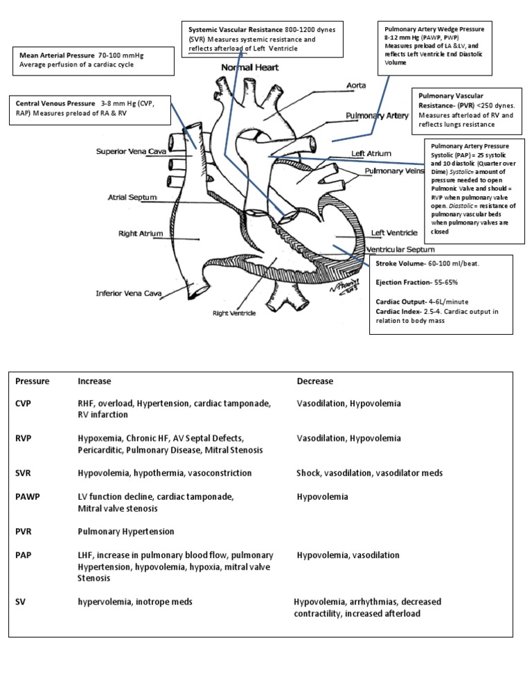 (SVR) Measures Systemic Resistance and Reflects Afterload of Left ...