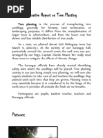 Accomplishment Report in Tree Planting | PDF