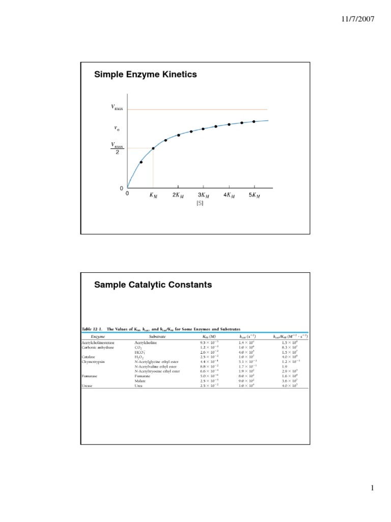 12 Enzyme Kinetics | PDF