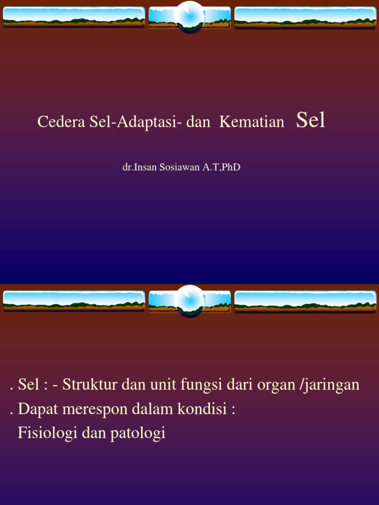 Cedera Sel-Adaptasi - Dan Kematian Sel | PDF