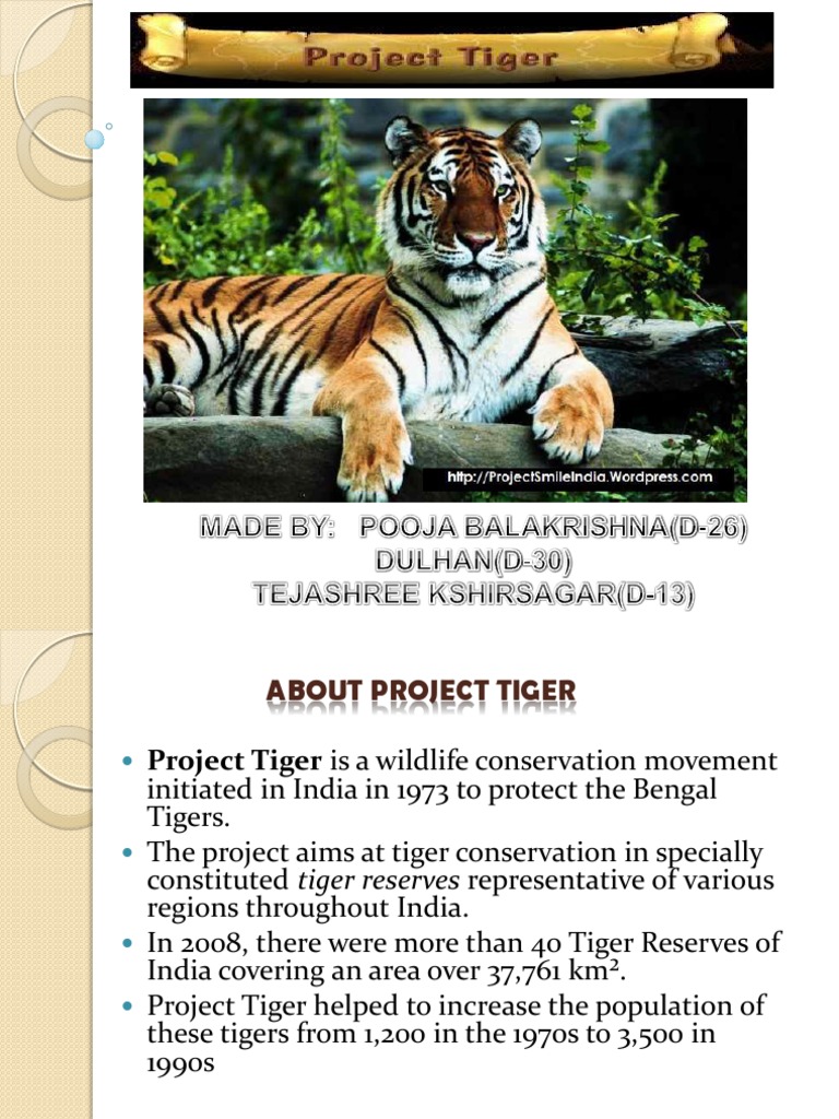 Tiger Project | PDF | Tiger | Environmental Social Science