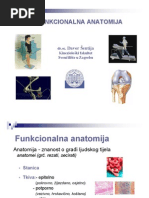 Anatomija - Knjiga PDF | PDF