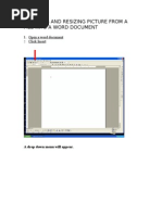 Passport Photo Template Guide in Word | PDF | Business