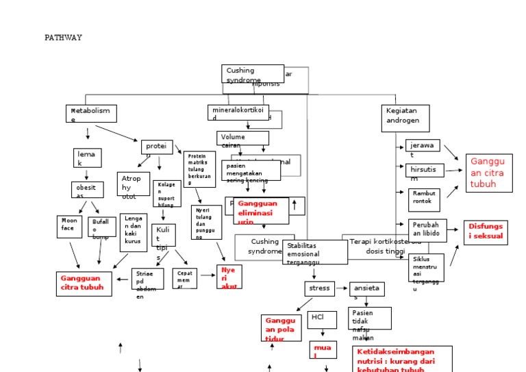 Pathway Cushing Syndrom | PDF | Pengembangan Diri | Kesehatan Holistik