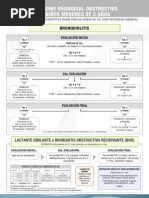 Algoritmo de Tratamiento de Bronquiolitis | PDF