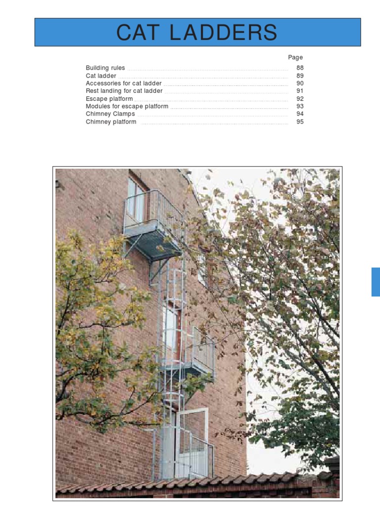 STEEL LADDER (Cat Ladder) | PDF