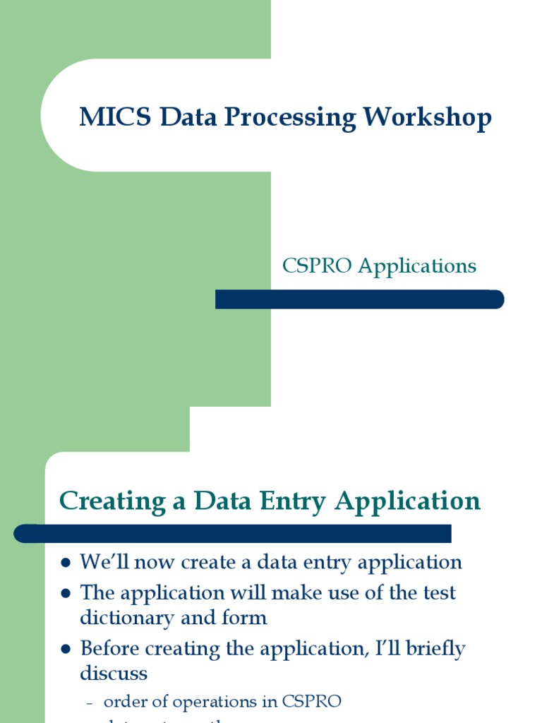 CSPRO Applications | PDF | Subroutine | Parameter (Computer Programming)