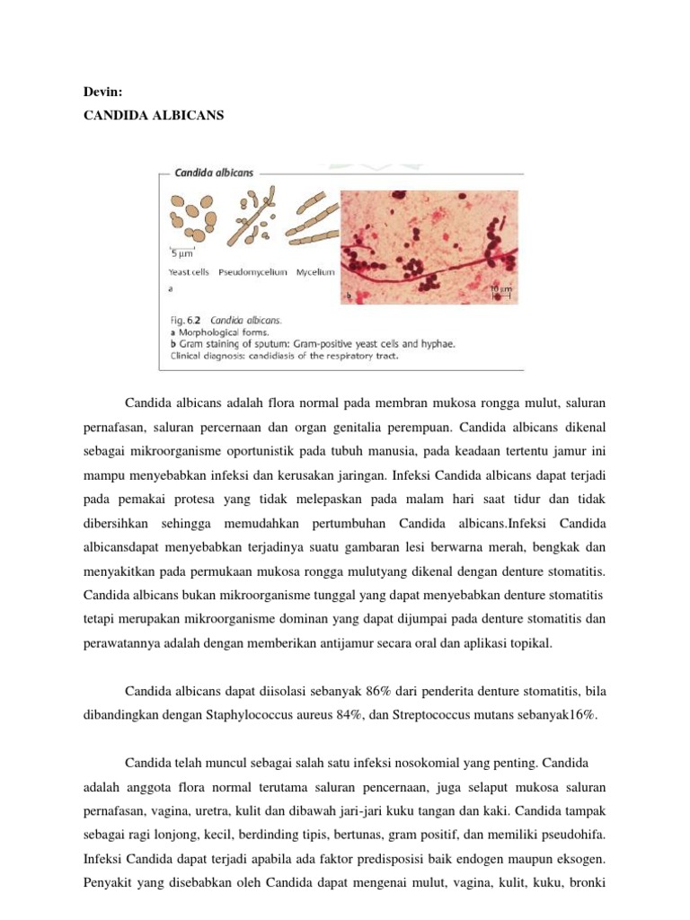 Morfologi dan Infeksi Candida Albicans | PDF