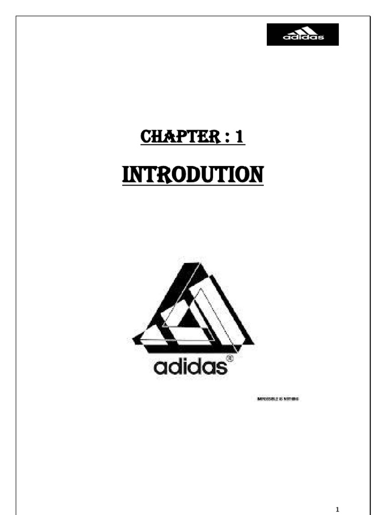 Adidas Project | PDF | Adidas | Consumer Behaviour