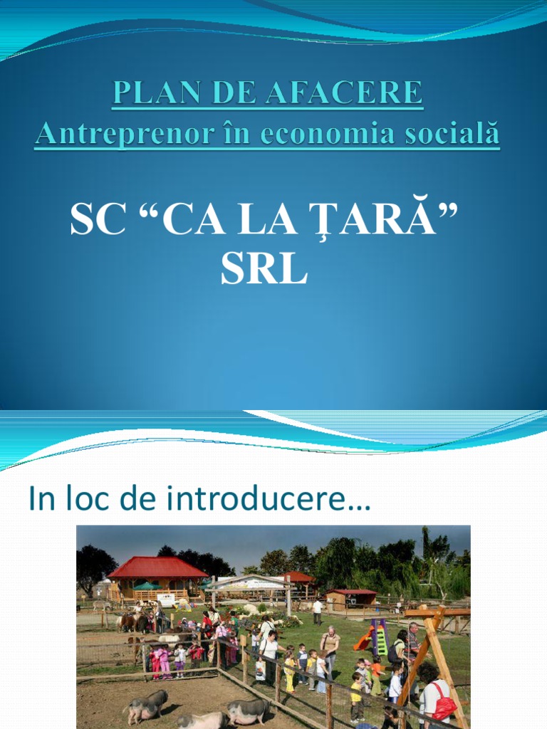 Plan de Afacere Prezentare | PDF