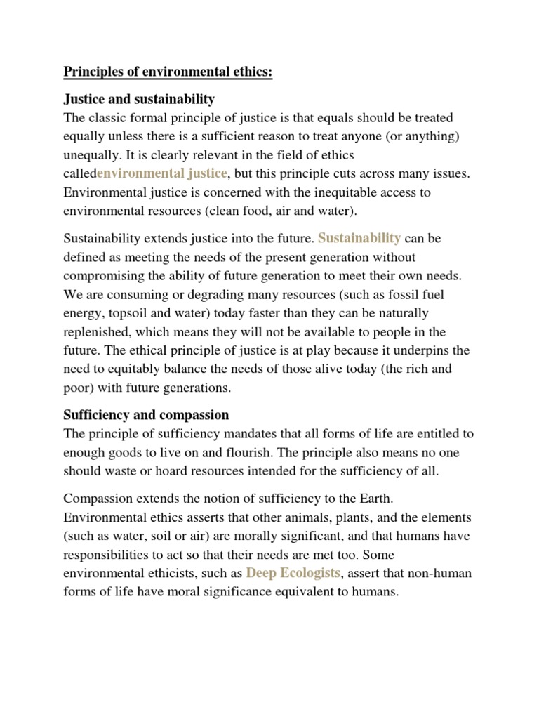 Principles of Environmental Ethics | Sustainability | Environmental Ethics