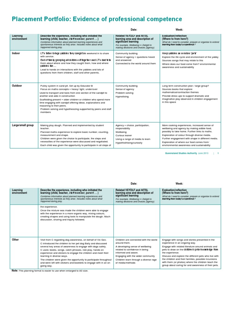 Placement Portfolio Template Professional Competence 1 | PDF ...