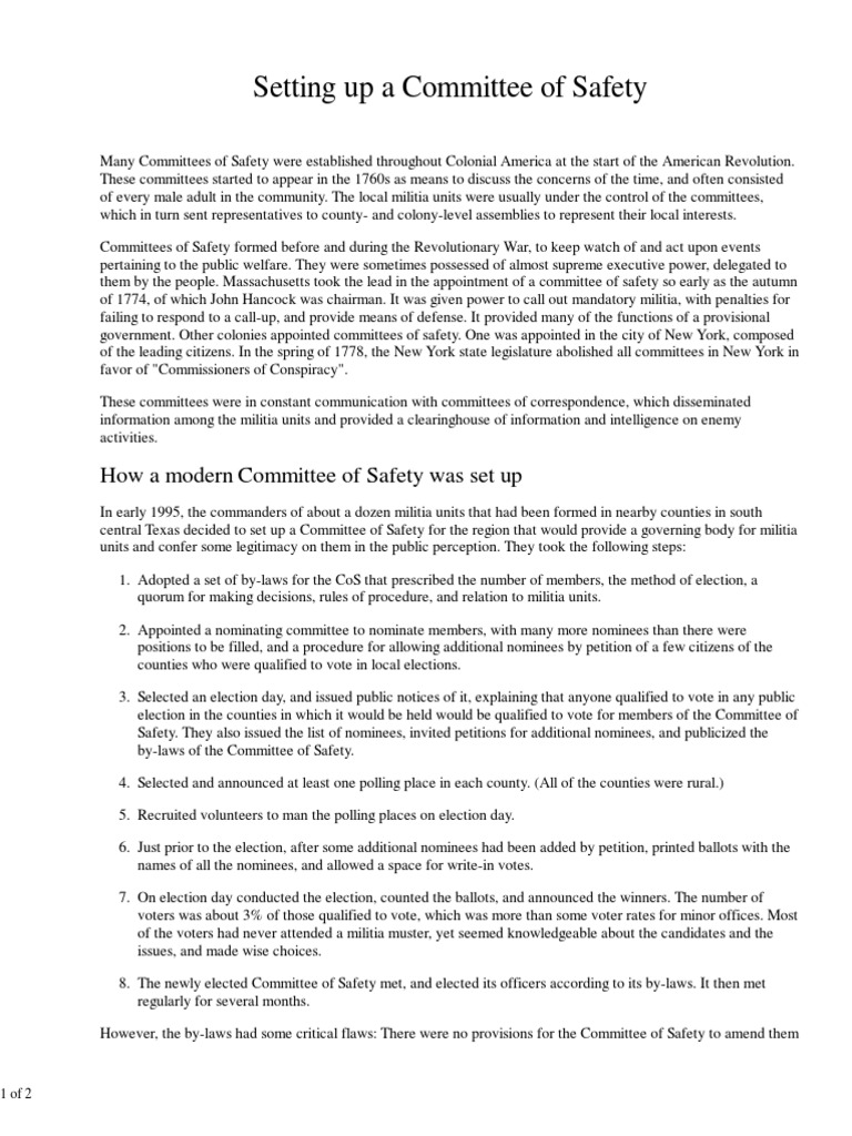 How to Establish a Committee of Safety | PDF | Voting | Polling Place
