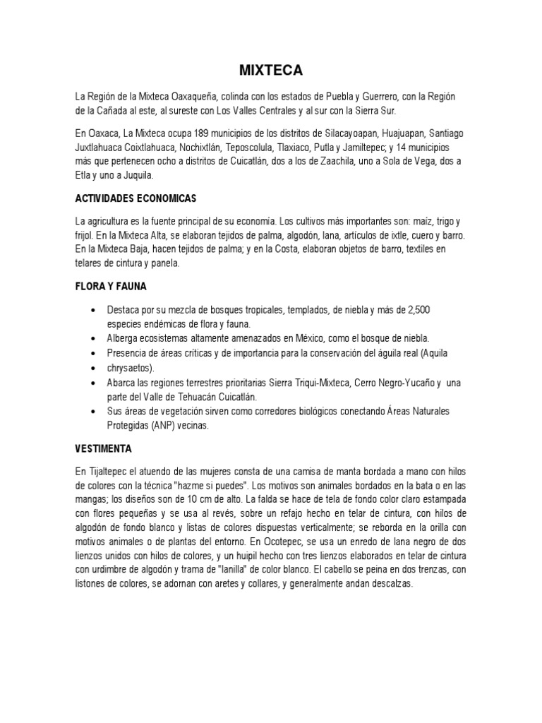 Vestimenta Tradicional Mixteca | PDF | Textiles | Ropa