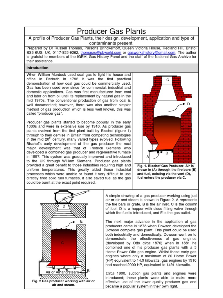 Producers Gas Plants | PDF | Natural Gas | Coal