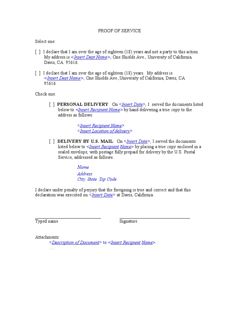 Proof of Service - Template | PDF