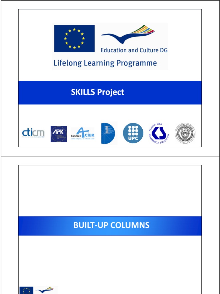 FINAL - SKILLS - Design of Built-Up Columns - V3 | PDF
