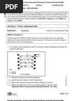 Protein Synthesis Race Worksheet | PDF | Translation (Biology ...