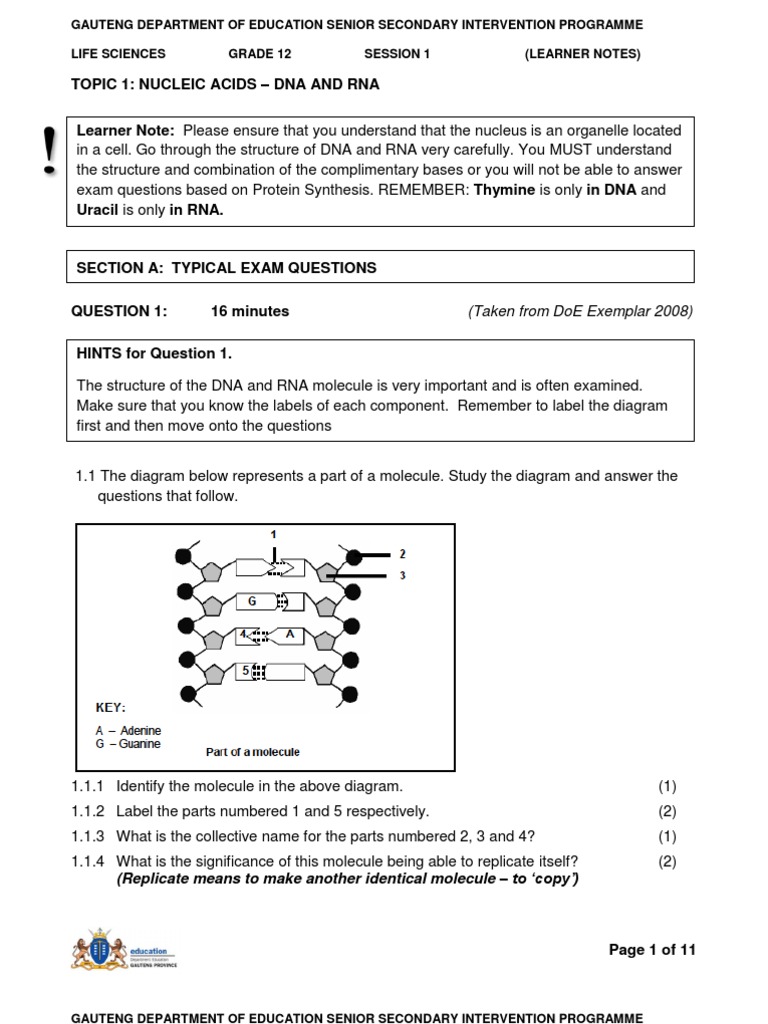 Dna and Rna A Must Read | PDF | Wellness | Science & Mathematics