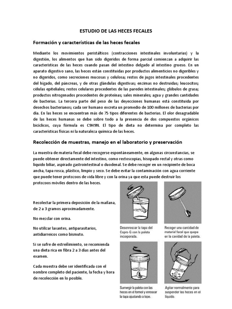 Recolección y análisis de heces fecales | PDF | Heces | Biología