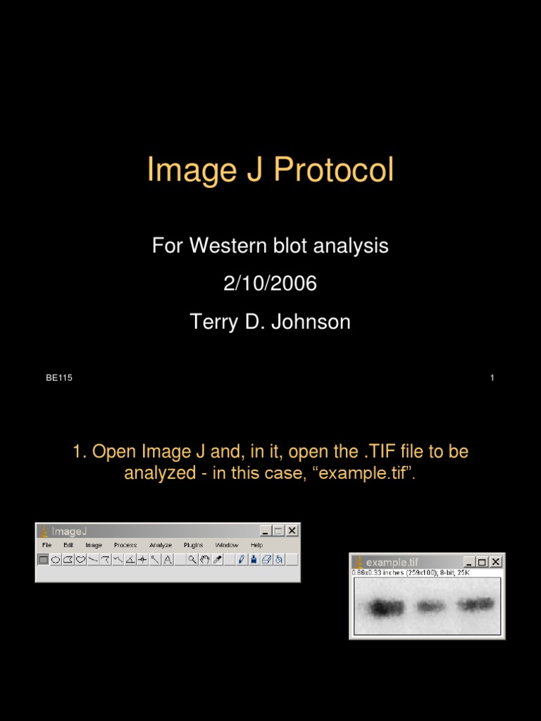 Imagej Tutorial | PDF