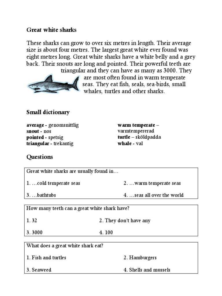 Great White Shark Size and Diet | PDF | Home & Garden