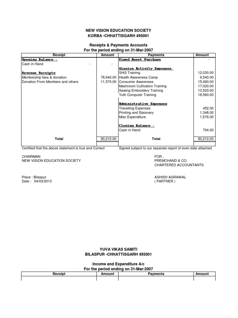 NGO Audited Documents Balance Sheet and Profit and Loss A/c | PDF ...