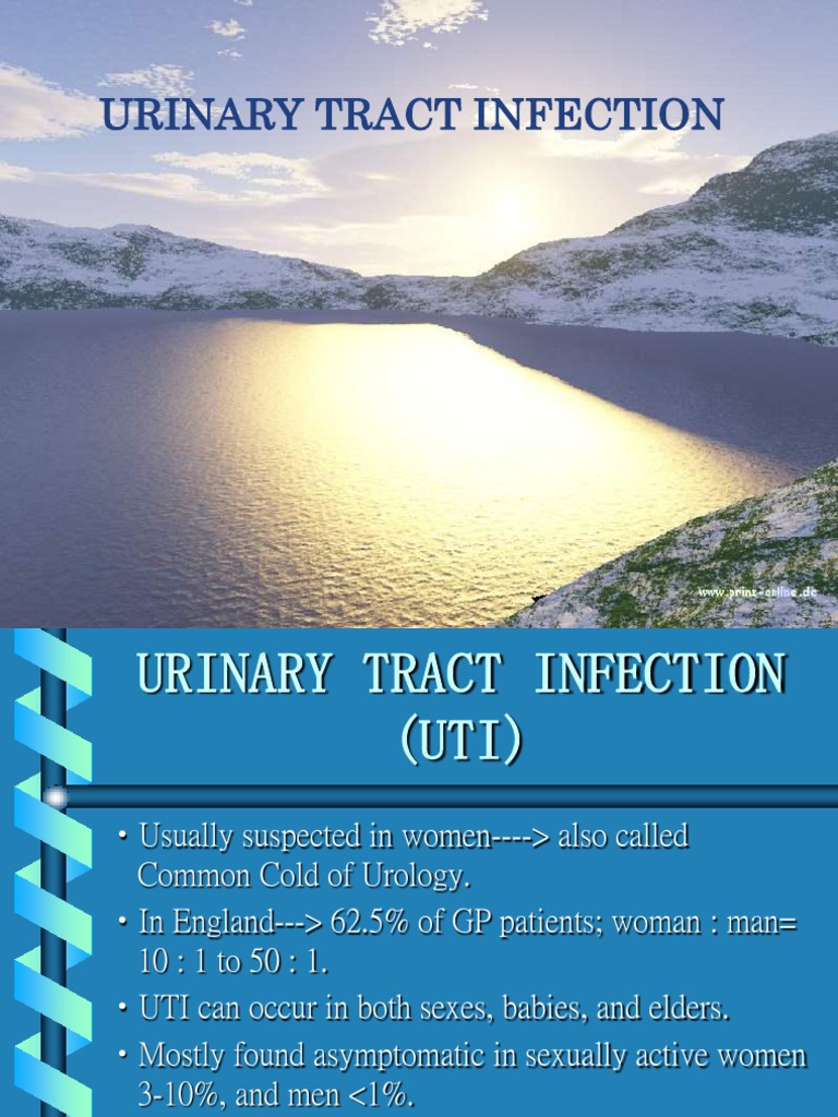 Urinary Tract Infection | PDF | Urinary Tract Infection | Urinary System
