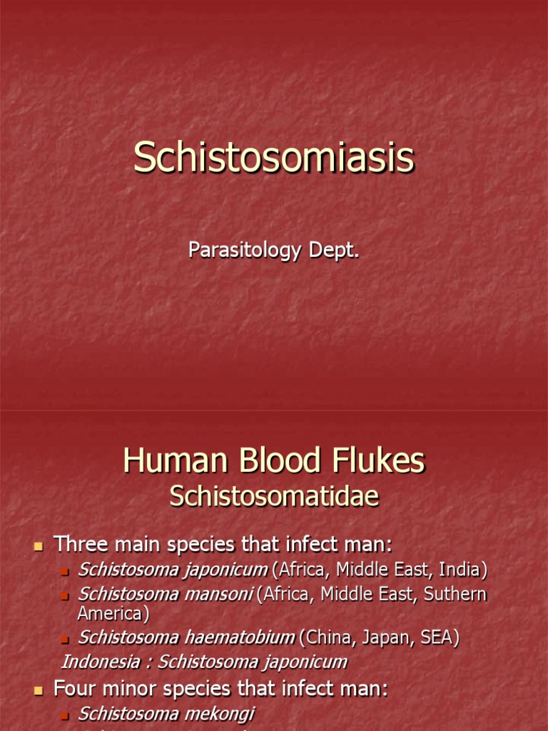 Schistosomiasis: Key Facts & Species | PDF | Diseases And Disorders ...