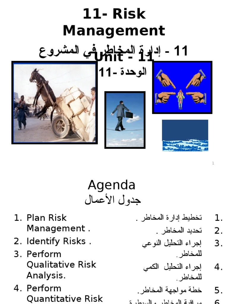 11 - Project Risk Management | PDF