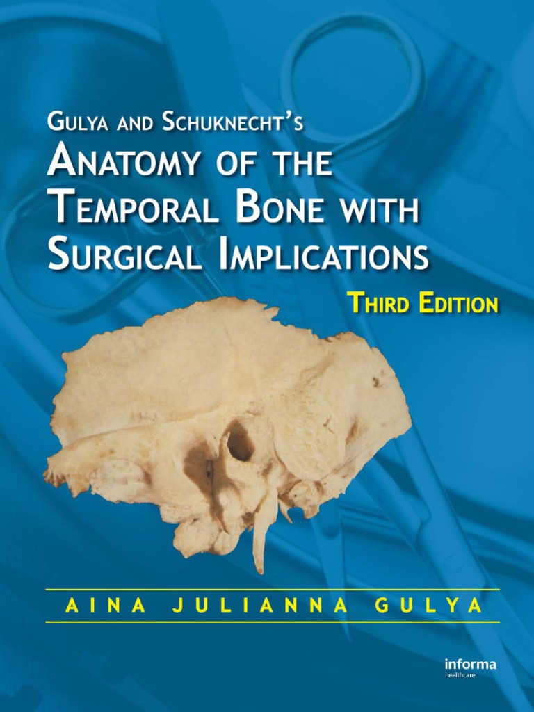 Digastric Groove Temporal Bone