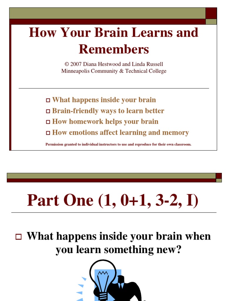 How Your Brain Learns and Remembers (PowerPoint) | PDF | Neuron | Synapse