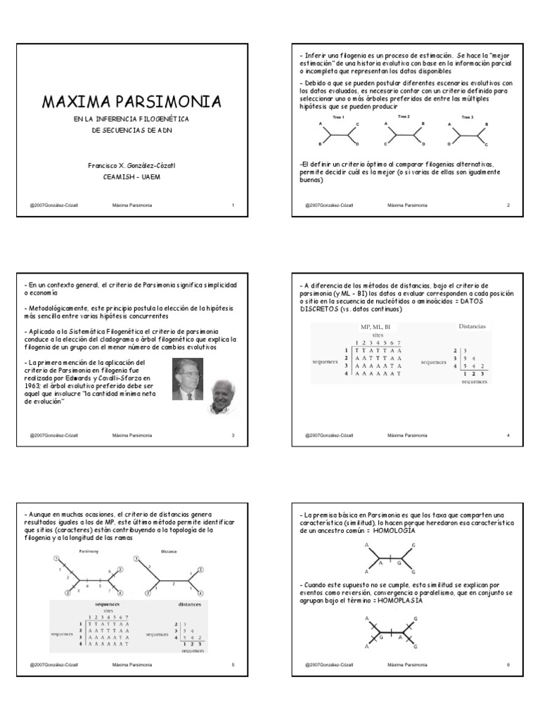parsimonia | Filogenética | La navaja de Occam