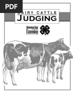 Judging Dairy Cattle | PDF | Dairy Cattle | Cattle
