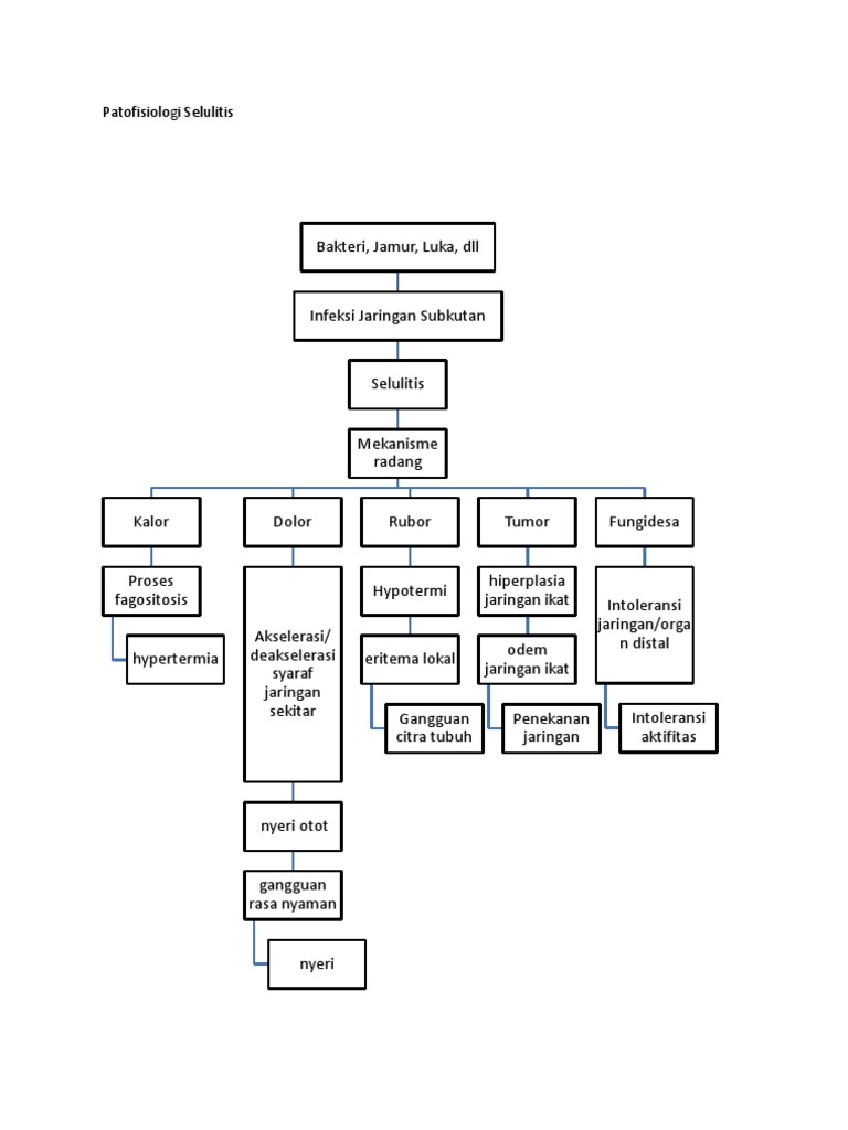 Patofisiologi Selulitis | PDF