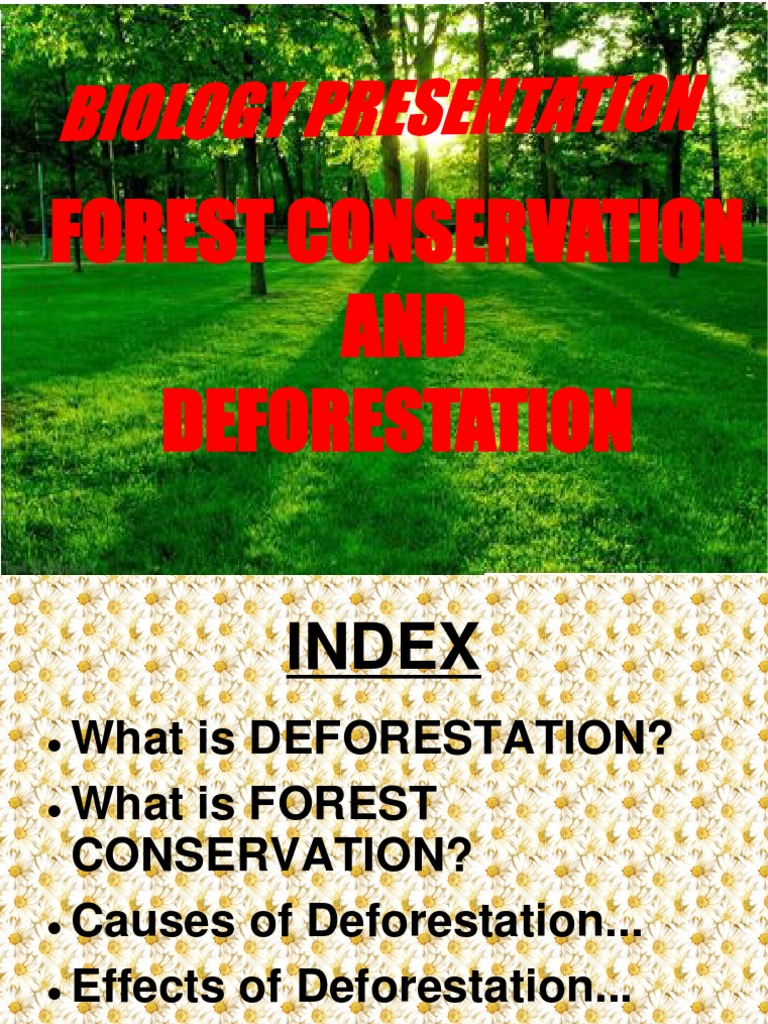 Forest Conservation AND Deforestation | PDF